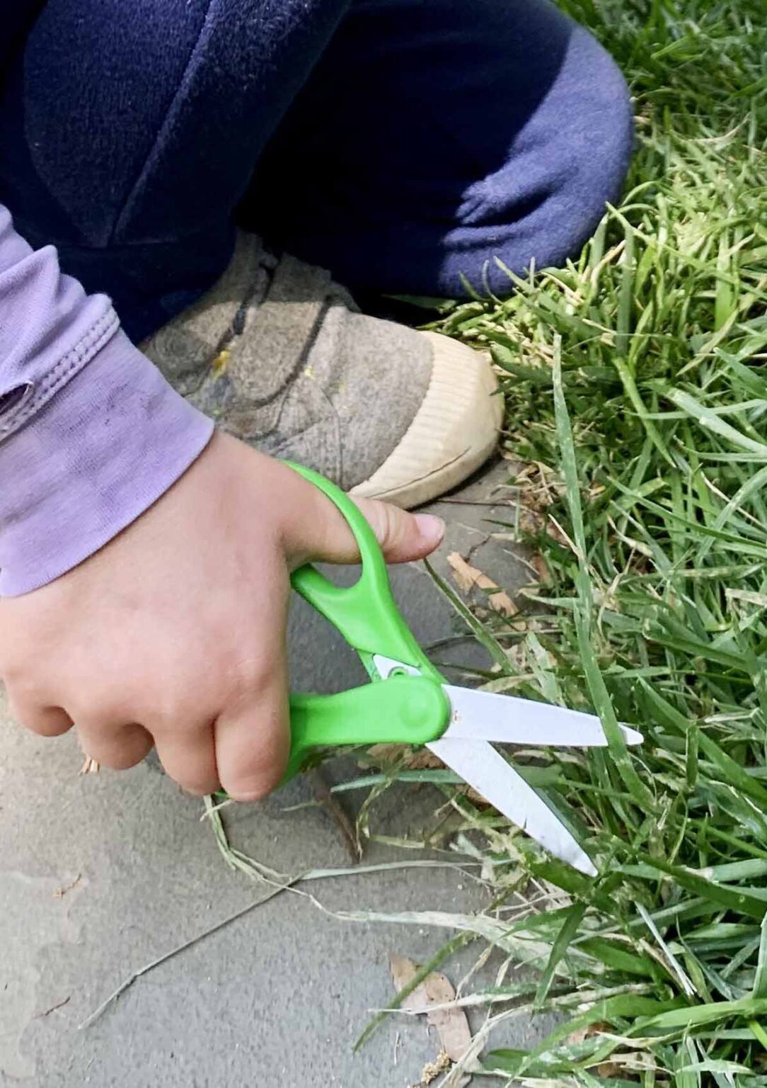 Scissor Skills - Ready Child