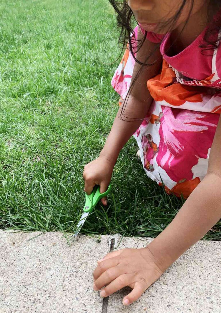 Scissor Skills - Ready Child