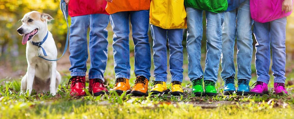 Shoe Sort - Ready Child