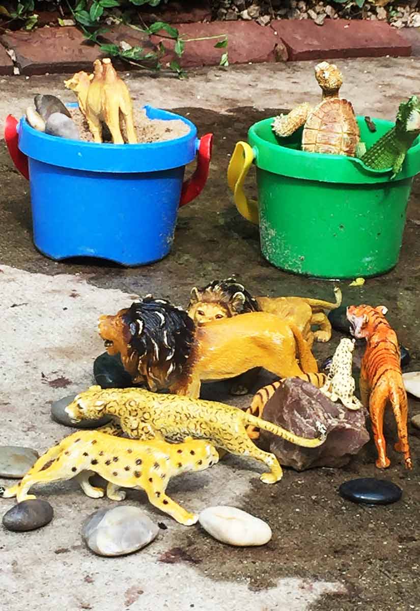 Where are the Animals? - Ready Child