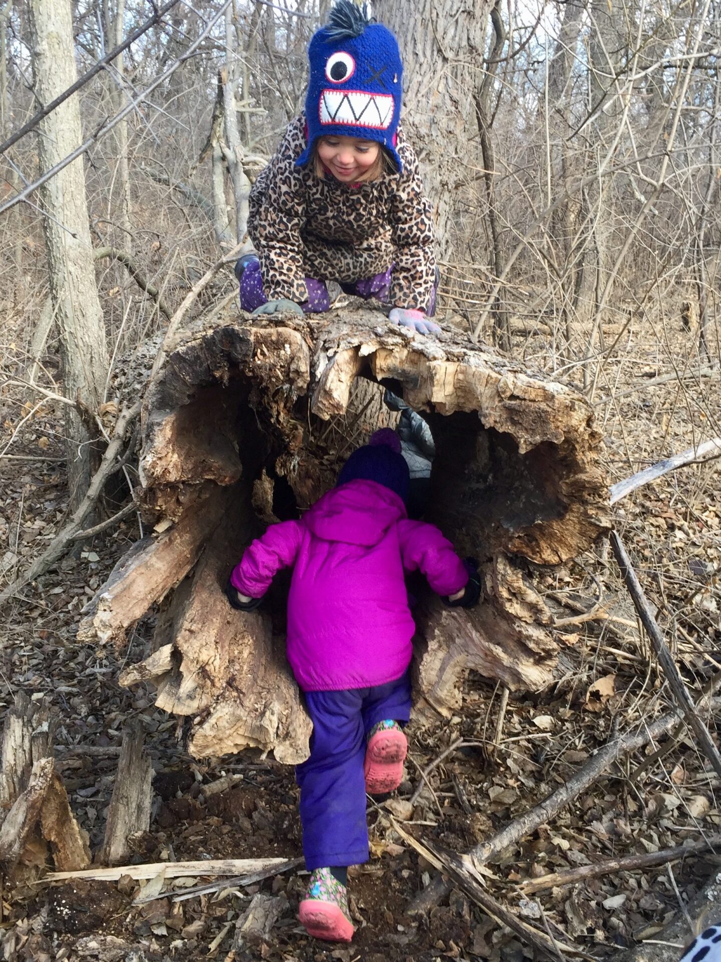 Inside, Outside and Through a Log - Ready Child